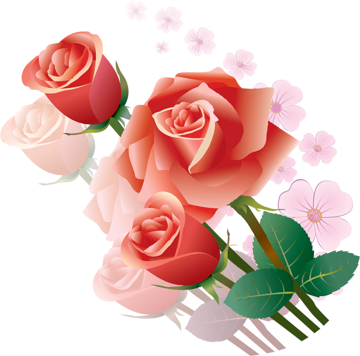 ROSES ROSES